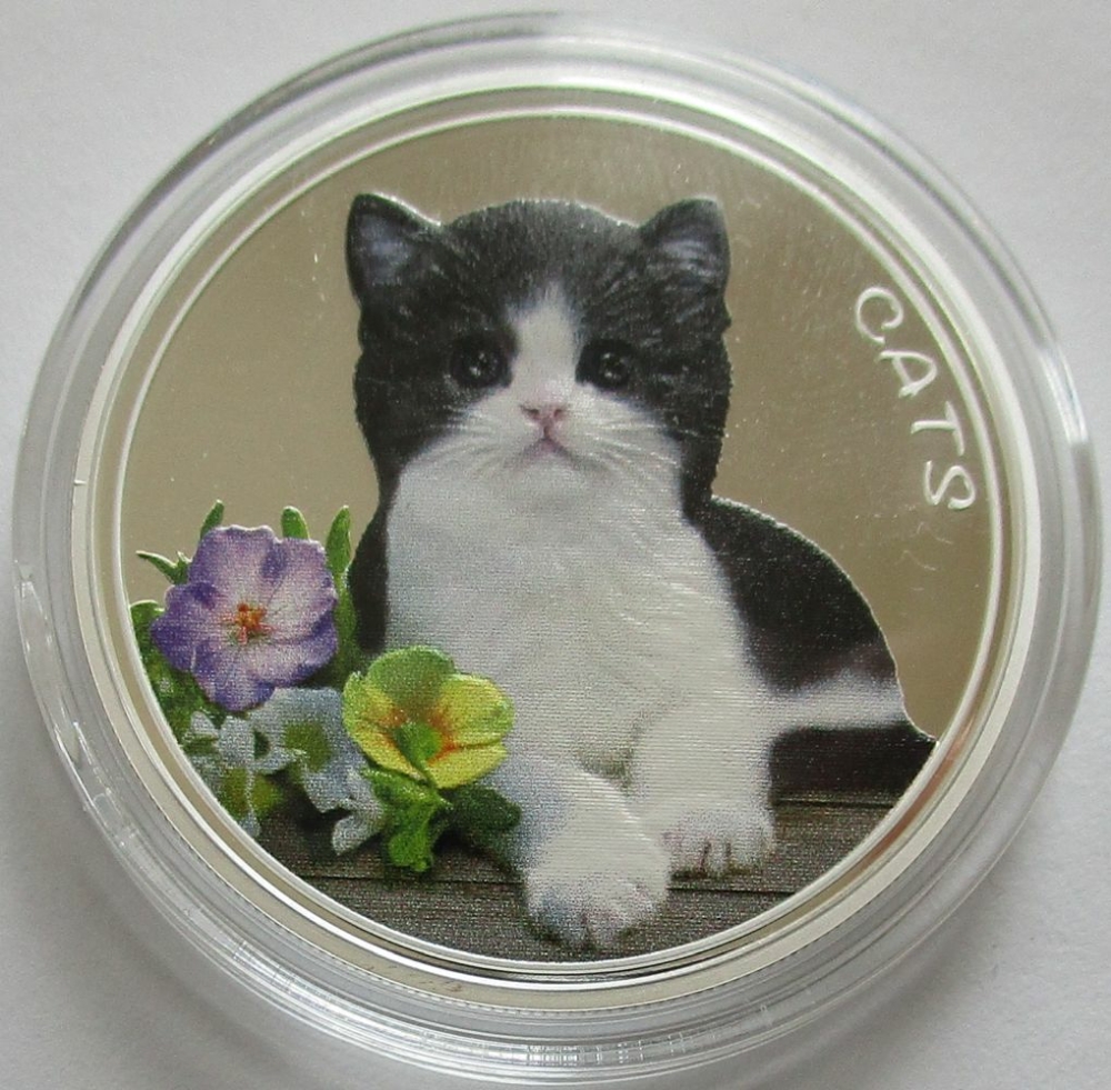 Fiji 50 Cents 2022 Cats House Cat 1 Oz Silver Coloured - Mago-Muenzen ...